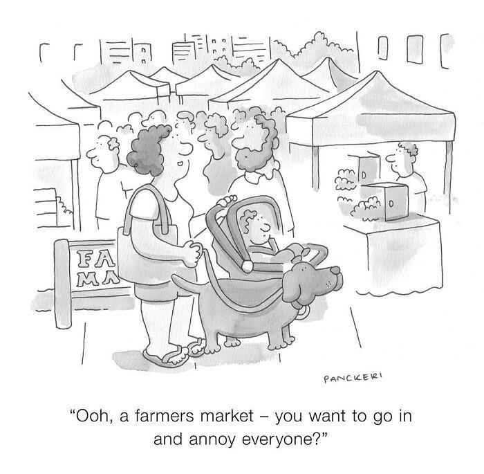 Knowing What's Expected | Blog & Mablog